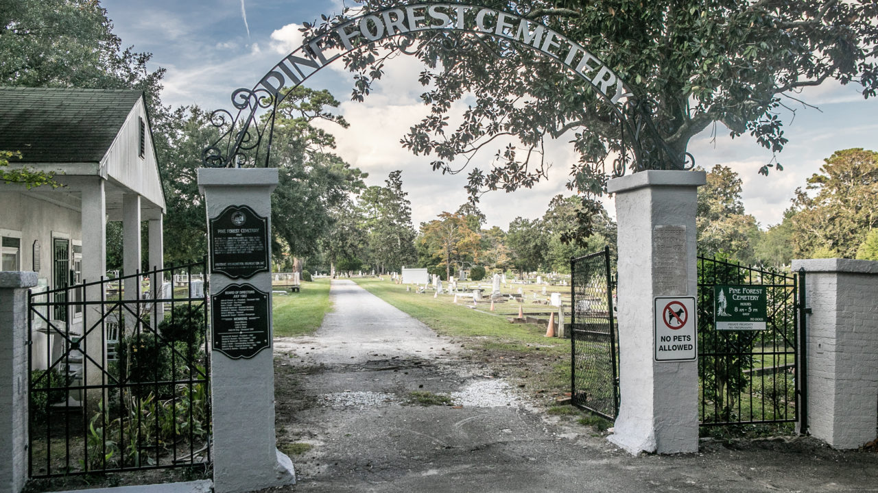 Pine Forest Cemetery | Symbol of Peace